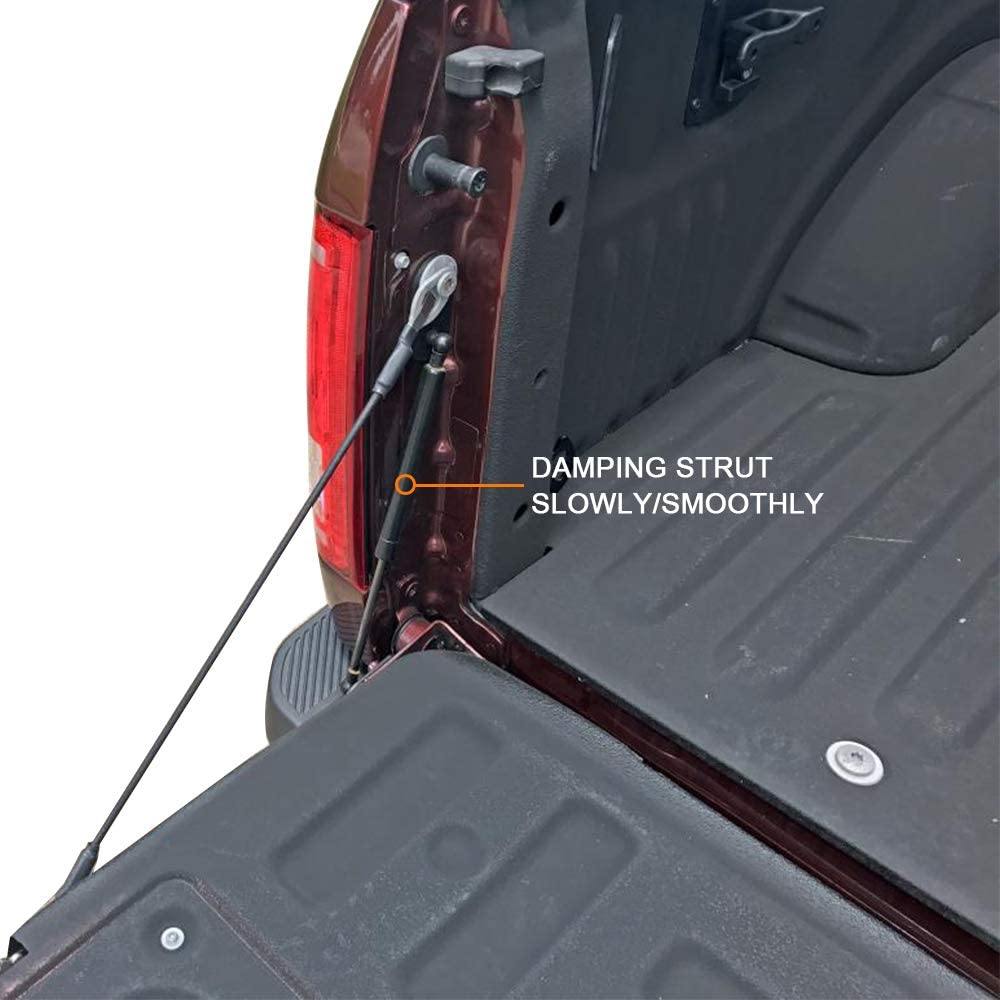 2015-2019 F150(NOT Lariat) Tailgate Assist Shock Truck Lift Assist for ...